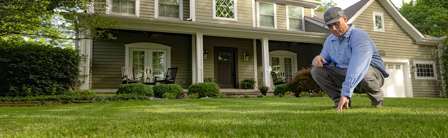 Lawn Care Services | SpringGreen